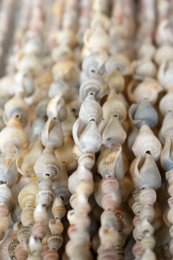 Seashell lamps stock image. Image of electric, lights - 16679879