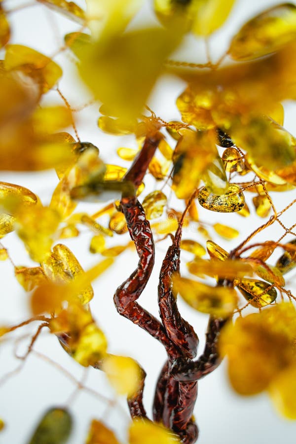 Decorative amber tree stock photo. Image of scenery - 246731848