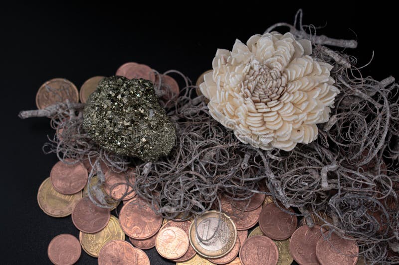 Dried Tangled Moss Stock Photos - Free & Royalty-Free Stock Photos from ...