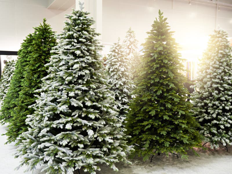 Decorative Artificial Christmas Trees in Store Stock Photo - Image of ...