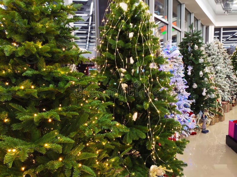 Decorative Artificial Christmas Trees in the Store Editorial Stock ...