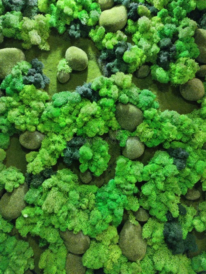 Decorative Artificial Moss Wall, Indoor Landscaping,plant Green ...