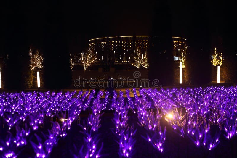 Decorative Backlit Lotuses in the Evening Park Stock Image - Image of ...