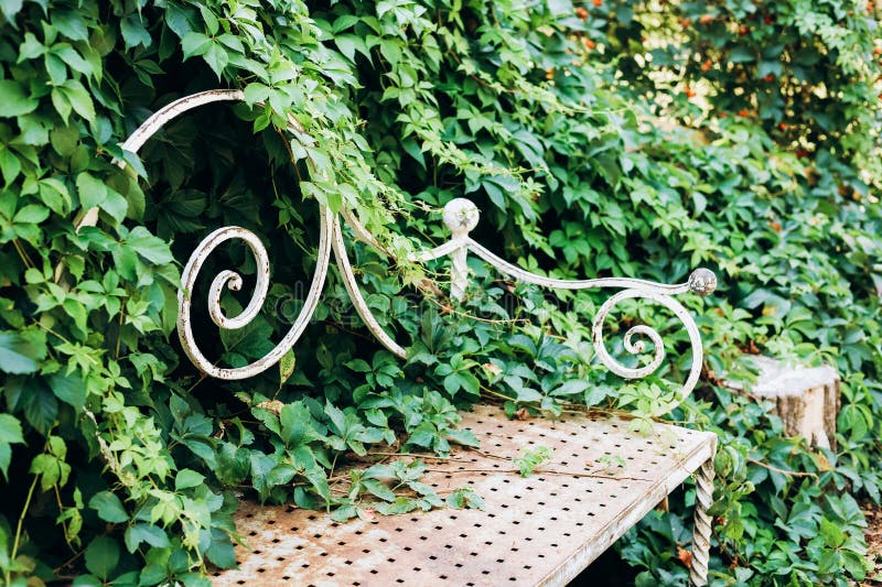 Decorative Bench Overgrown with Greenery in a Tranquil Garden Setting ...