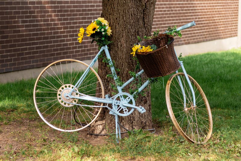 Decorative Bicycle with Flowers in Basket Near Tree. Stock Photo ...