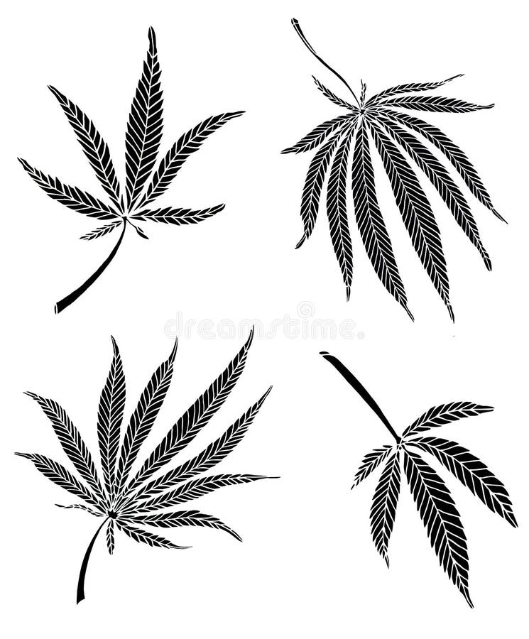 Decorative Black Trafaret Set of Big Hemp Leaves Stock Illustration ...