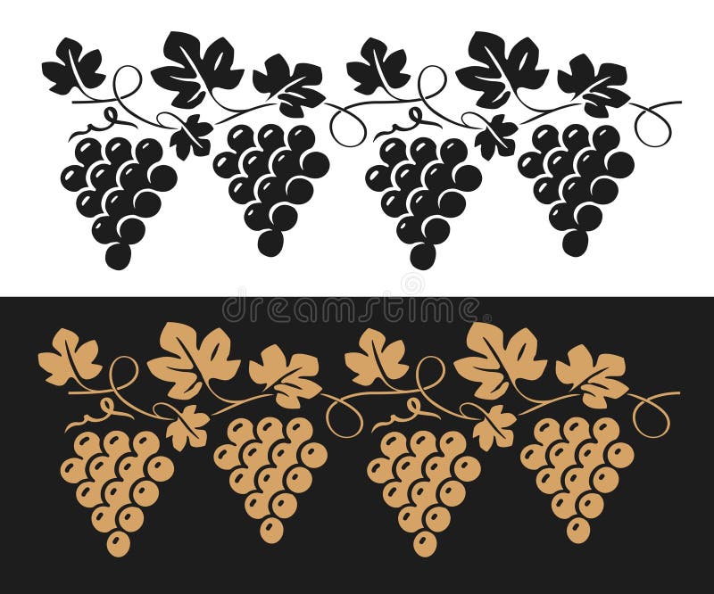 Decorative Border Grapevine and Clusters of Grapes. Silhouette Floral ...