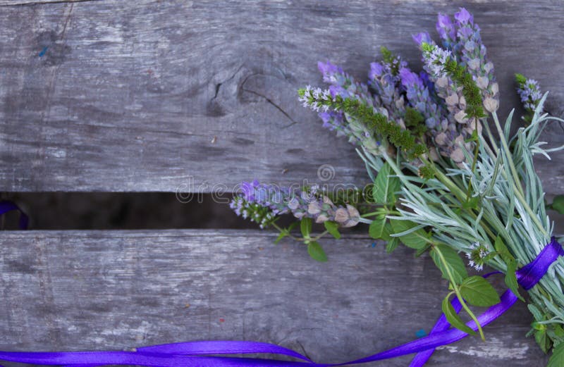 Decorative Background of Violet Lavenders on Rustic Wood Stock Image ...