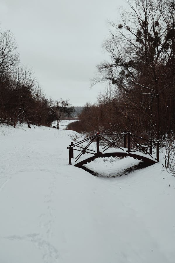 Decorative Bridge in the Snow in the Forest Stock Photo - Image of park ...