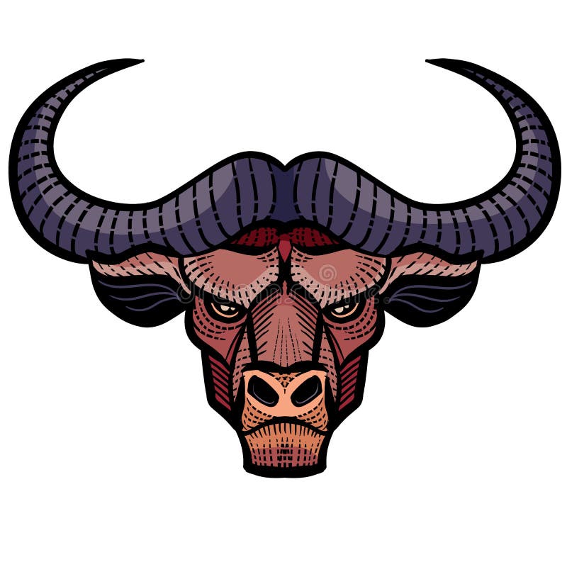 Decorative Bull Head with Patterns for Logo, Label, Packaging, Tattoo ...