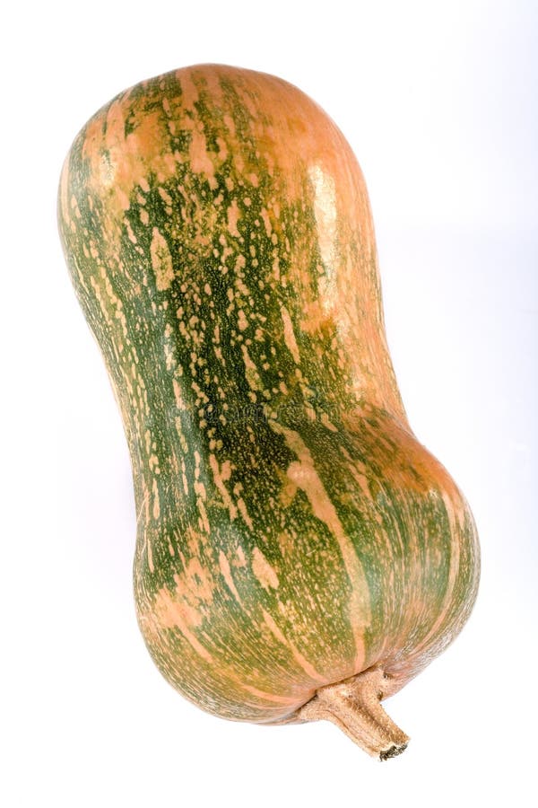 Decorative Butternut Pumpkin Stock Image - Image of background ...
