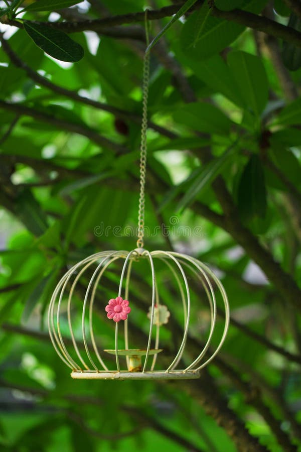 Decorative cage stock photo. Image of birdcage, antique - 85509690