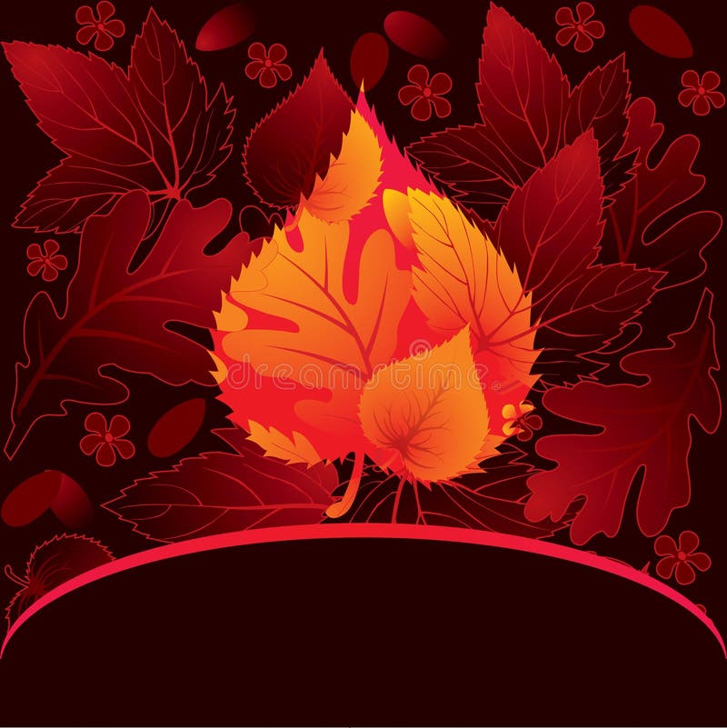 Decorative card with leaf stock vector. Illustration of flower - 6679269