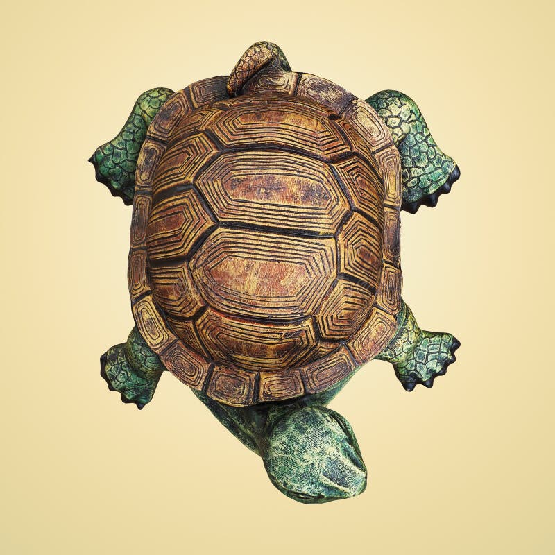 Turtle Top View Stock Illustrations – 699 Turtle Top View Stock ...