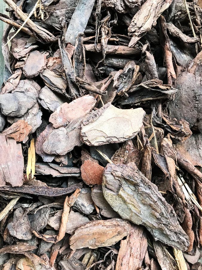 Decorative Chips from Bark of Tree Stock Image - Image of pile, chip ...