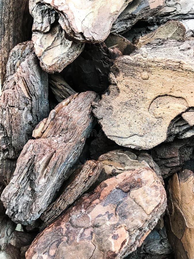 Decorative Chips from Bark of Tree Stock Photo - Image of decorative ...