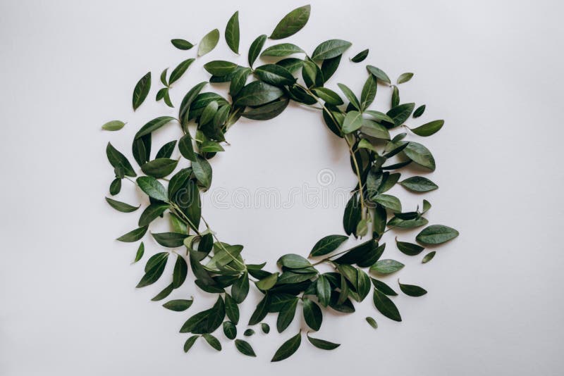 Decorative Circle of Green Leaves on a White Background. Stock Image ...