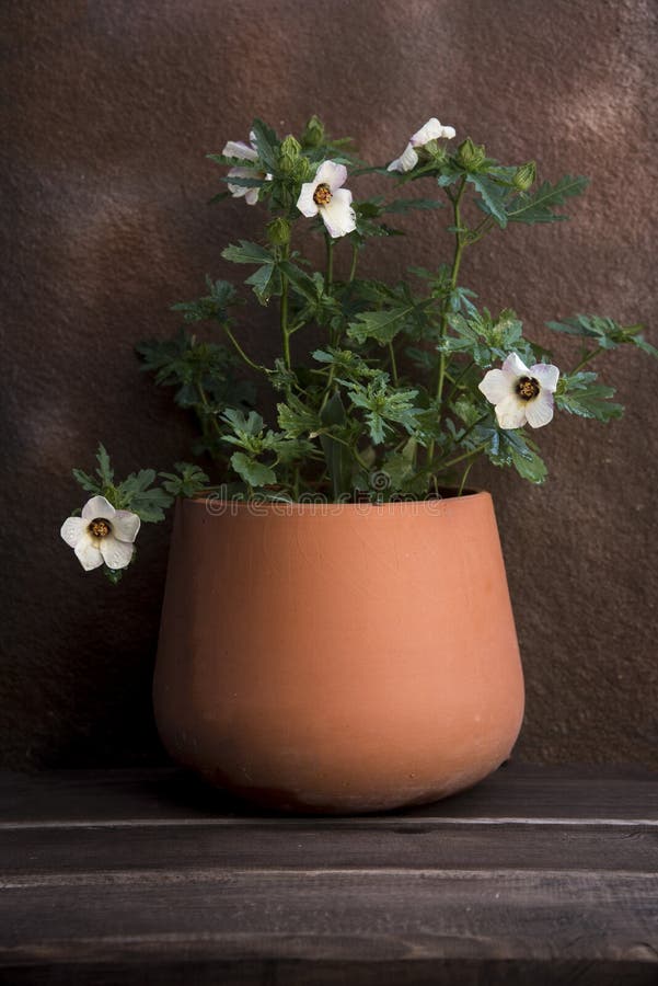 Decorative Clay Pot with Flowers Stock Photo - Image of decorative ...