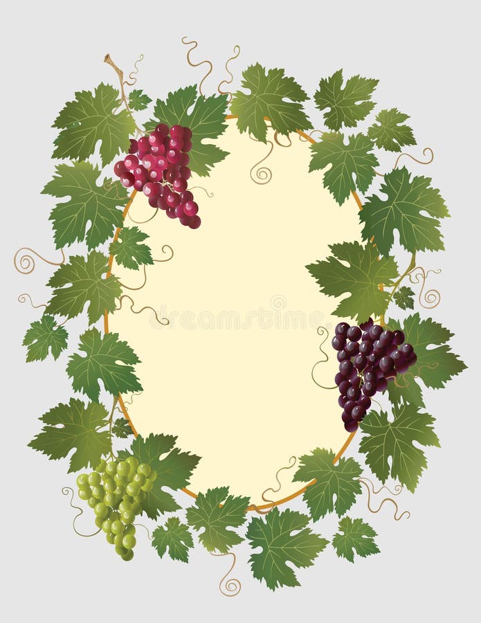 Decorative colorful grape stock vector. Illustration of violet - 11862216