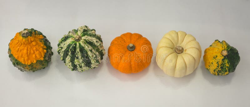 Decorative Colorful Mini Pumpkins Stock Photo - Image of scene, mini ...