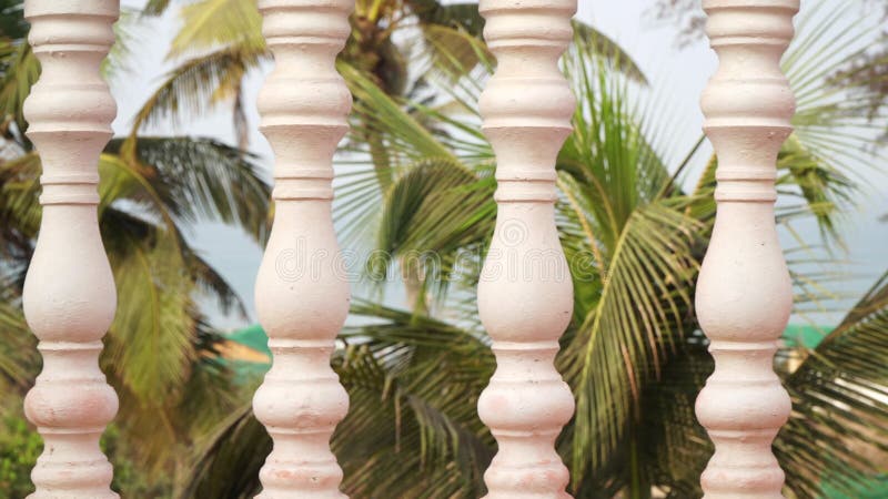 Columns Balusters on the Background of Palm Trees in the Architecture ...