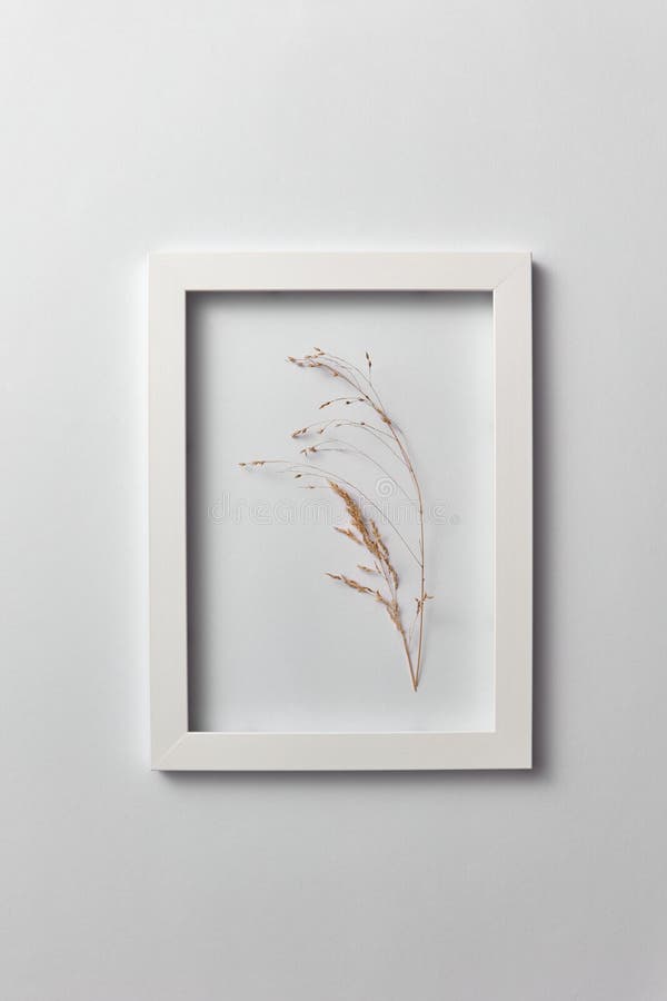 Decorative Composition of Seedhead Plant in a Rectangular Frame on a ...