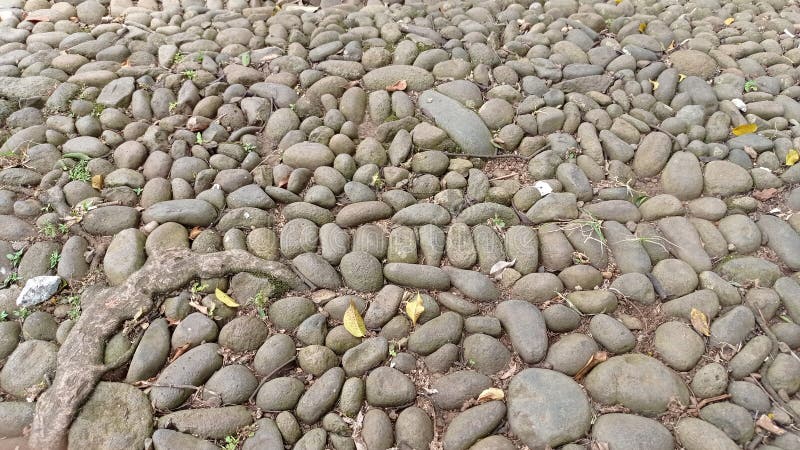 Decorative Coral Stone Walkpath Stock Photo - Image of stone, walk ...