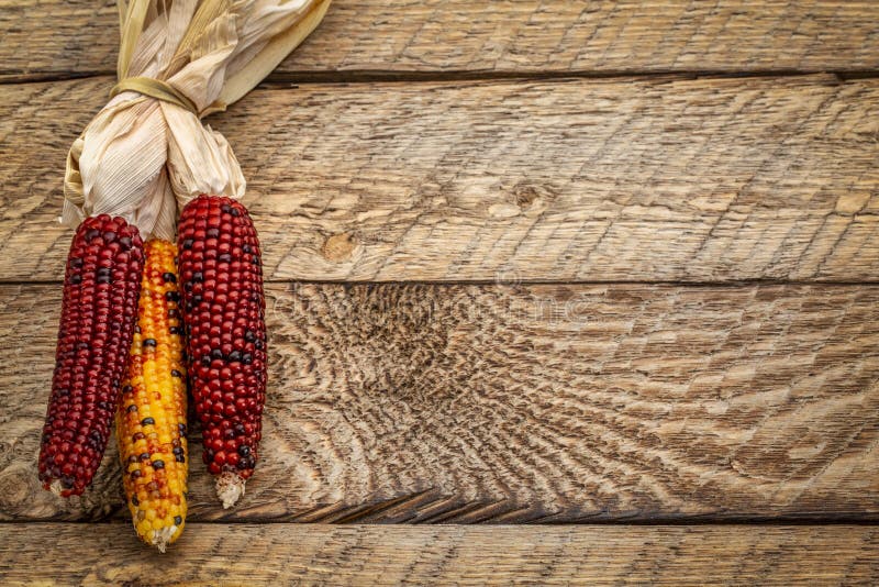 Decorative Corn on Rustic Wood Stock Image - Image of seed, wood: 128980907