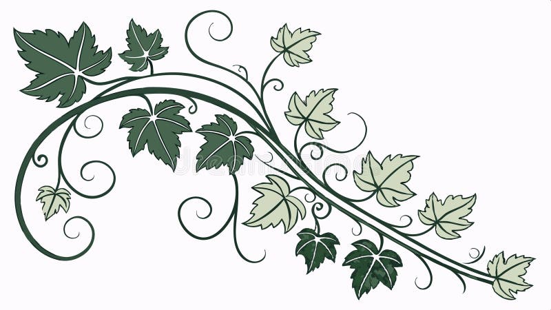 Decorative Corner Element with Swirling Grape Vines and Leaves. Vector ...