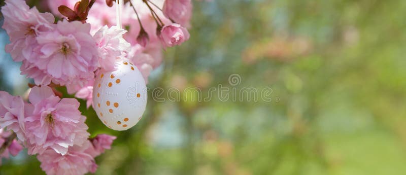 Decorative Easter Egg Hanging on Flowering Cherry Tree with Pink ...