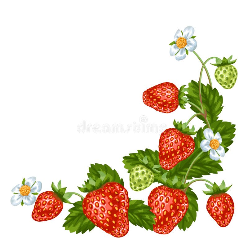 Strawberry Border / Divider Stock Vector - Illustration of borders ...