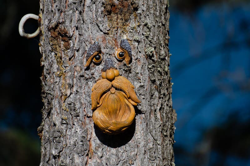 Decorative Face on Tree in Yard Stock Image - Image of tree ...