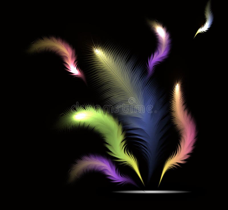 Decorative Feather Vector Set. Stock Vector - Illustration of fluffy ...