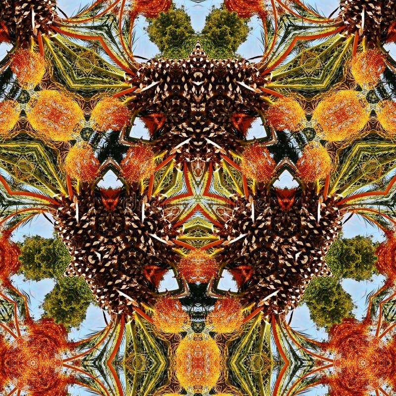 A Digital Kaleidoscope Pattern Stock Illustration - Illustration of ...