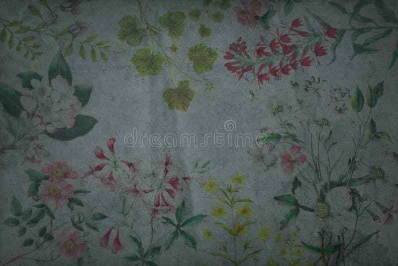 Decorative Floral Parchment Paper for a Background Stock Photo - Image ...