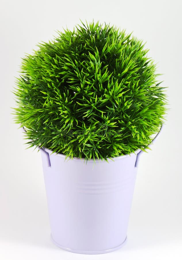 Decorative flower stock photo. Image of angled, carry - 24244668