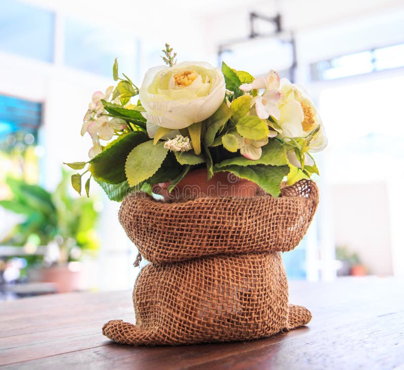 Decorative flower stock image. Image of daisy, cheerful - 37623689