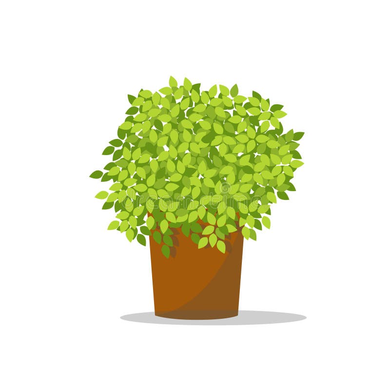 Decorative Flowerpot.Trimming Green Tree on Pot Stock Vector ...