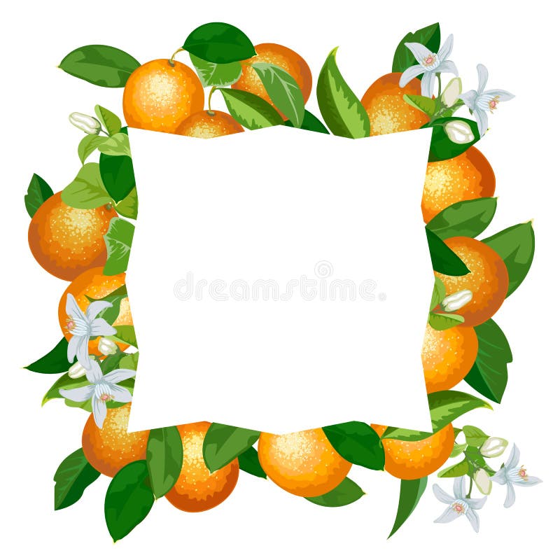 Decorative Frame with Bright Oranges. Stock Vector - Illustration of ...