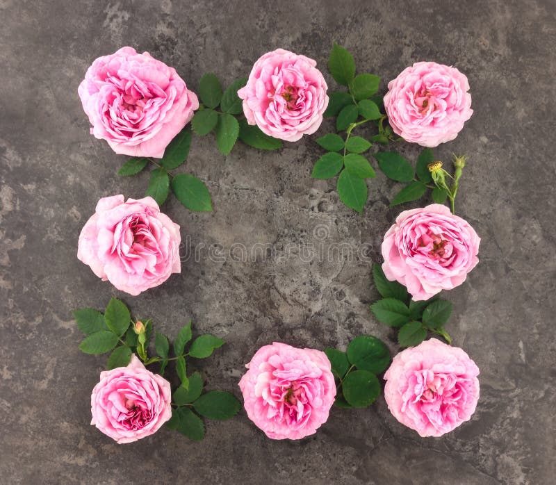 Decorative Frame with Roses and Leaves on Stone Background Stock Image ...