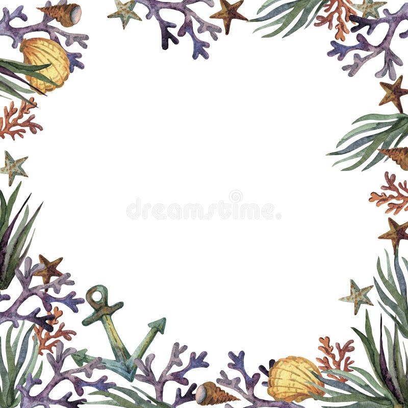 Decorative Frame Sea Anchor, Shells, Mollusks, Algae, Starfish, Corals ...