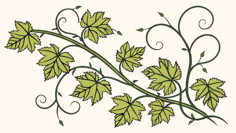 Decorative Grape Vine Branch with Leaves, Vector Design Generative AI ...