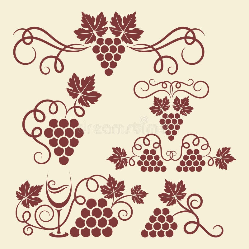 Vector Grape Vine Design