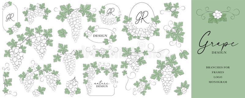Decorative Grapevine Branches in Line Art in a Vector Illustration ...