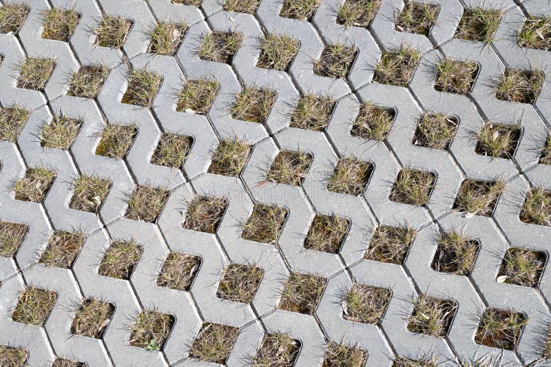 Decorative Gray Path Laid Out on the Lawn Stock Image - Image of walk ...