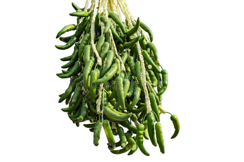 Decorative Green Chilli Bunch Stock Photo - Image of green, cayenne ...