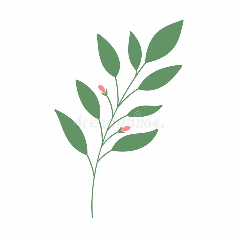 Decorative Green Leaves. Hand Drawn Decorative Elements. Vector ...