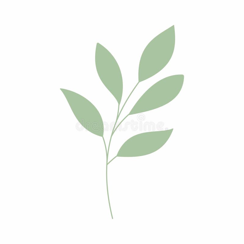 Decorative Green Leaves. Hand Drawn Decorative Elements. Vector ...