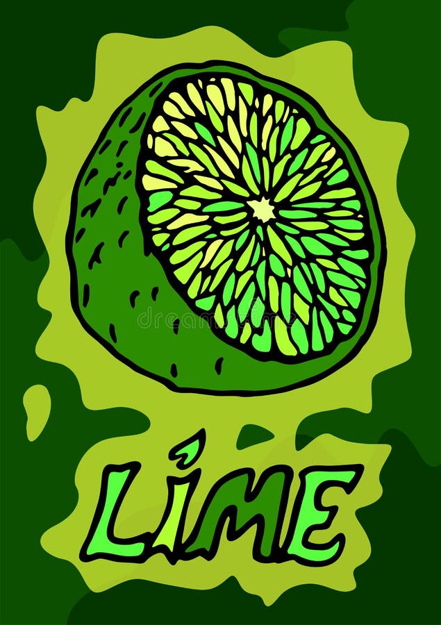 Beautiful Green Lime with Text Stock Vector - Illustration of ...