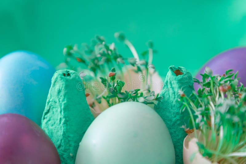 Decorative Handmade Easter Egg Present Box with Eggs and Cress Stock ...